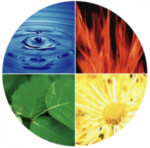 Four Discovery Insights Color Energies | Let Me Inspire You